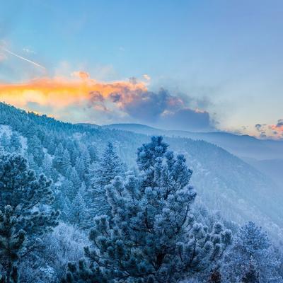 Winter forest trees snow mountains fog - KDE Store