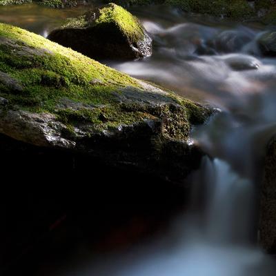 Jungle stream river rocks 2017 HD Wallpaper - KDE Store