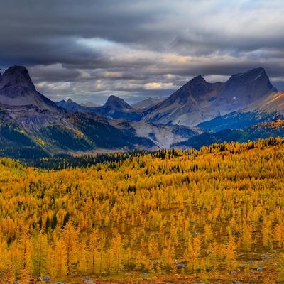 Mountain landscape trees sky grass-Nature HD W.. - KDE Store