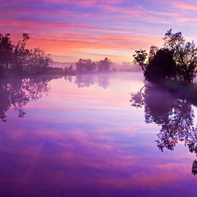 Forest sunlight sunshine lake pink tree-Scener.. - KDE Store