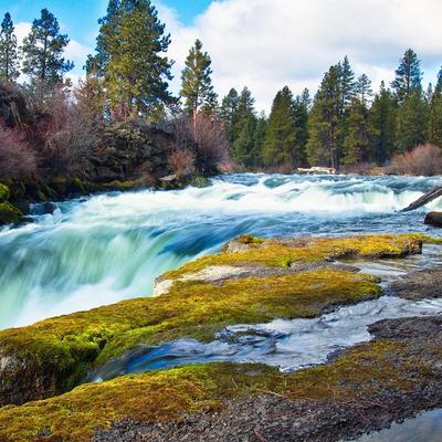 Rapids on forest river-Nature High Quality Wal.. - KDE Store