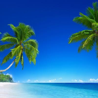 Tropical beach paradise-Hot summer Photo Wallp.. - KDE Store