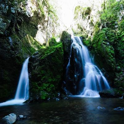 Forest waterfall river rocks-Landscape Theme W.. - KDE Store