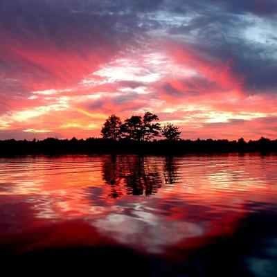 Hot summer trees evening sky-Scenery High Qual.. - addons.videolan.org