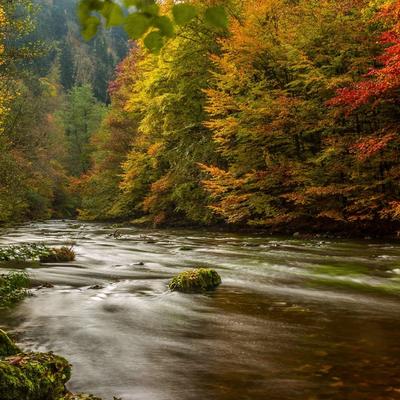 Harz germany autumn river trees-Scenery High Q.. - KDE Store