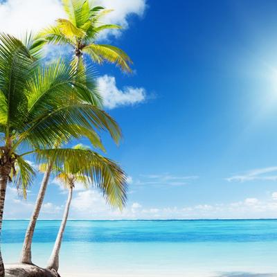 Tropical beach paradise sunshine-Summer Scener.. - KDE Store