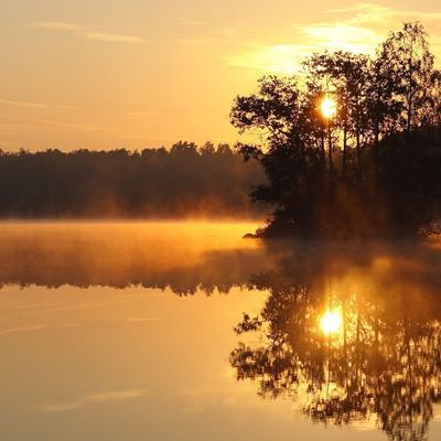 Trees foggy lake at sunset-Nature photography .. - KDE Store