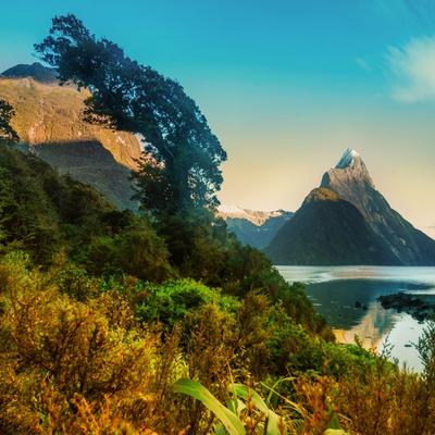 Hiking around milford-HD Desktop Wallpaper - KDE Store