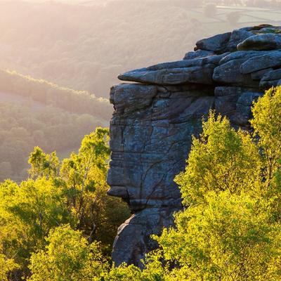 Forest hills trees rocks-Landscape HD Wallpape.. - KDE Store