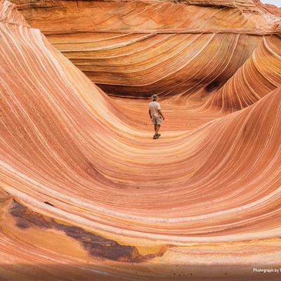 The Wave-National Geographic - KDE Store