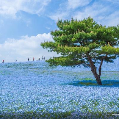 The Blue Universe-National Geographic Wallpape.. - KDE Store