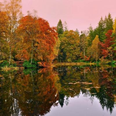 forest lake autumn-Landscape HD Wallpaper - KDE Store