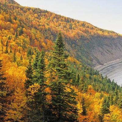 river trees autumn-HD Photo Wallpaper - KDE Store