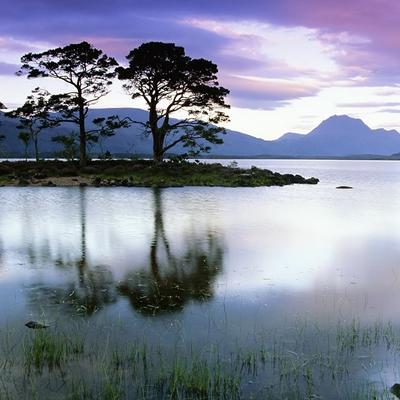 island evening trees lake-Landscape Photo Wall.. - KDE Store