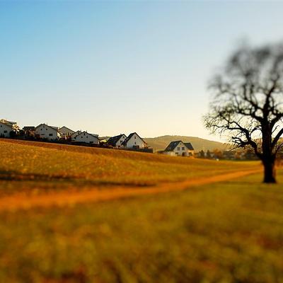 lodges tree lonely glade-Pictures HD Wallpaper - KDE Store