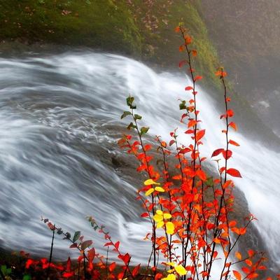 waterfall leaves fall-Nature HD Wallpapers - KDE Store