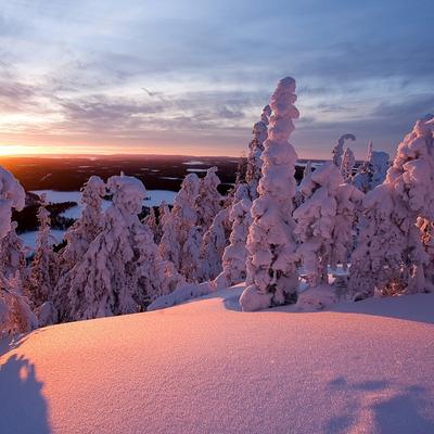Finnish Lapland Snow Desktop Wallpaper - KDE Store