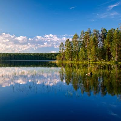 Blue Sky Calm Lake Scenery Wilderness Finland .. - KDE Store