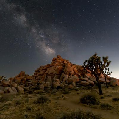 Starry sky Milky Way Joshua Tree California US.. - KDE Store