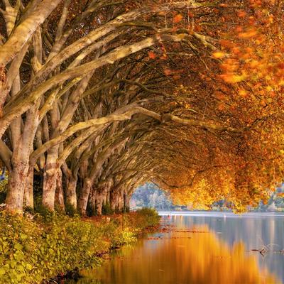 Germany Baldeneysee Lake 2024 Autumn Bing 4K - KDE Store