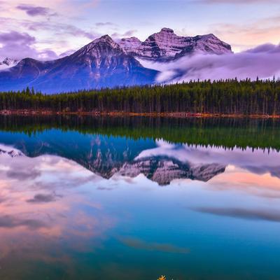 Alps Valley Forest Trees Lake Reflection 5K - KDE Store