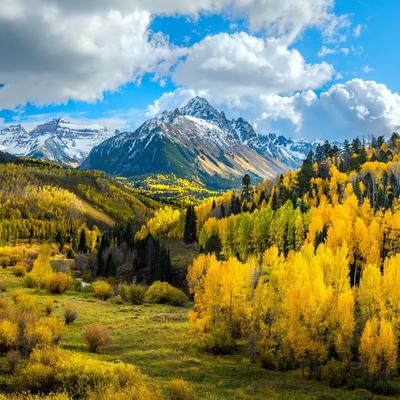 Forest Autumn Mountain Scenery Yellow Trees 5K - KDE Store