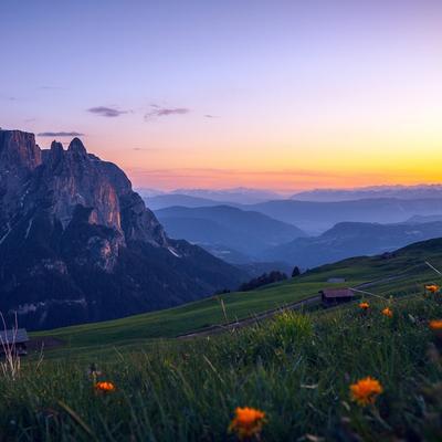 Meadow Flowers Sunset Sicilian Alps Italy 5K - KDE Store