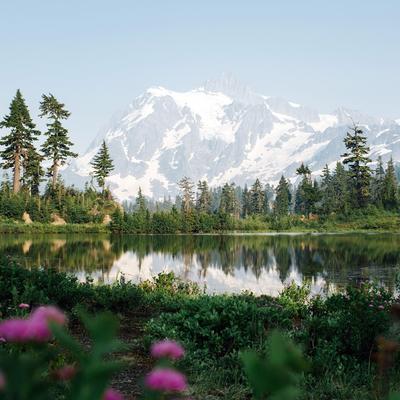 Forest Lake Mt Baker Washington USA Bing 5K - KDE Store