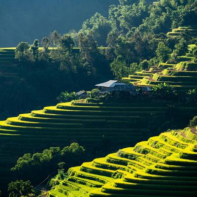 Mountain Forest Plateau - KDE Store