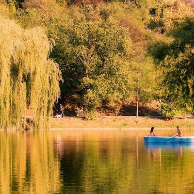 River nature wallpaper - KDE Store