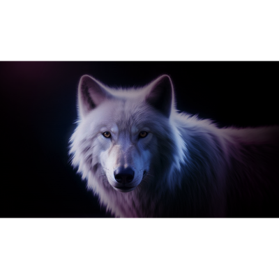 The Midnight Wolf - KDE Store