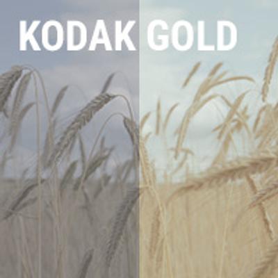 Film Kodak Gold LUT - KDE Store