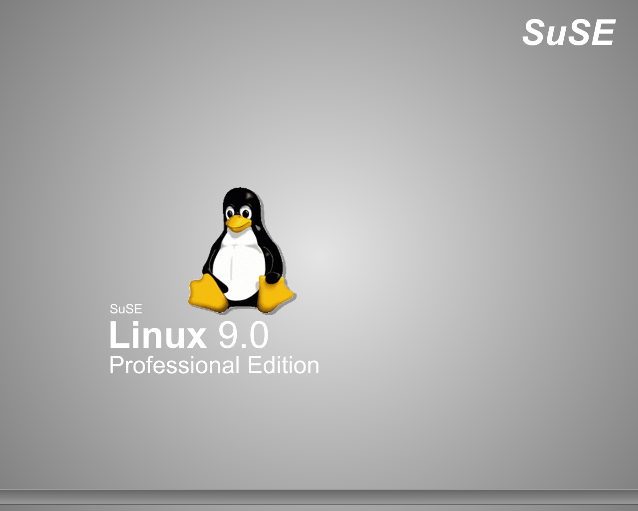 SuSE 9.0 Professional - KDE Store