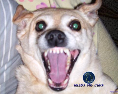 Yellow Dog Linux - KDE Store