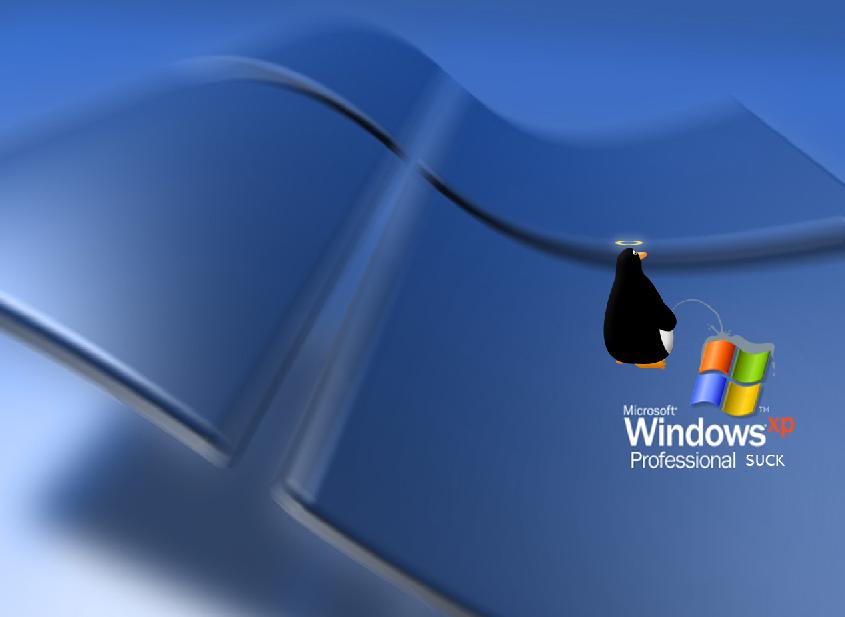 Windows Sucks Background