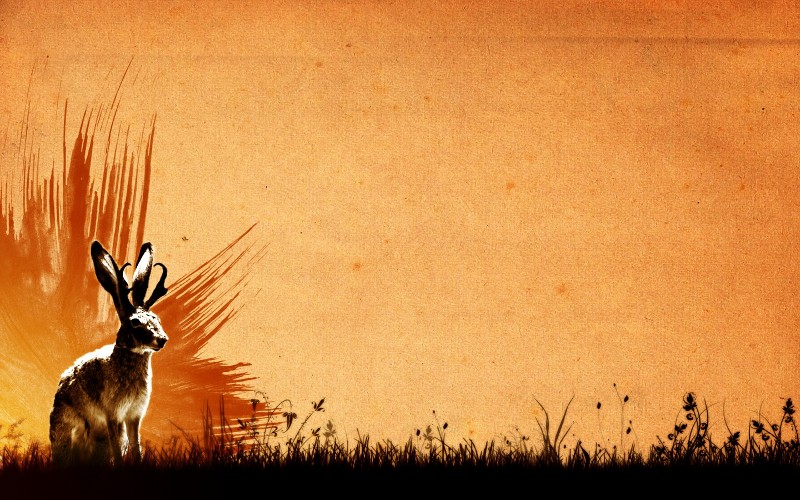 Jackalope Wallpaper