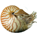 Nautilus File Manager - KDE Store