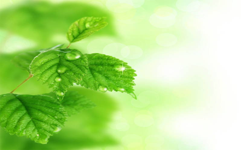 Minty-remix v3 - KDE Store