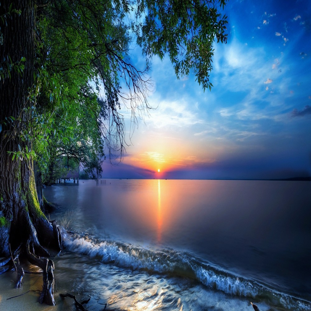 Rising Sun On Nature