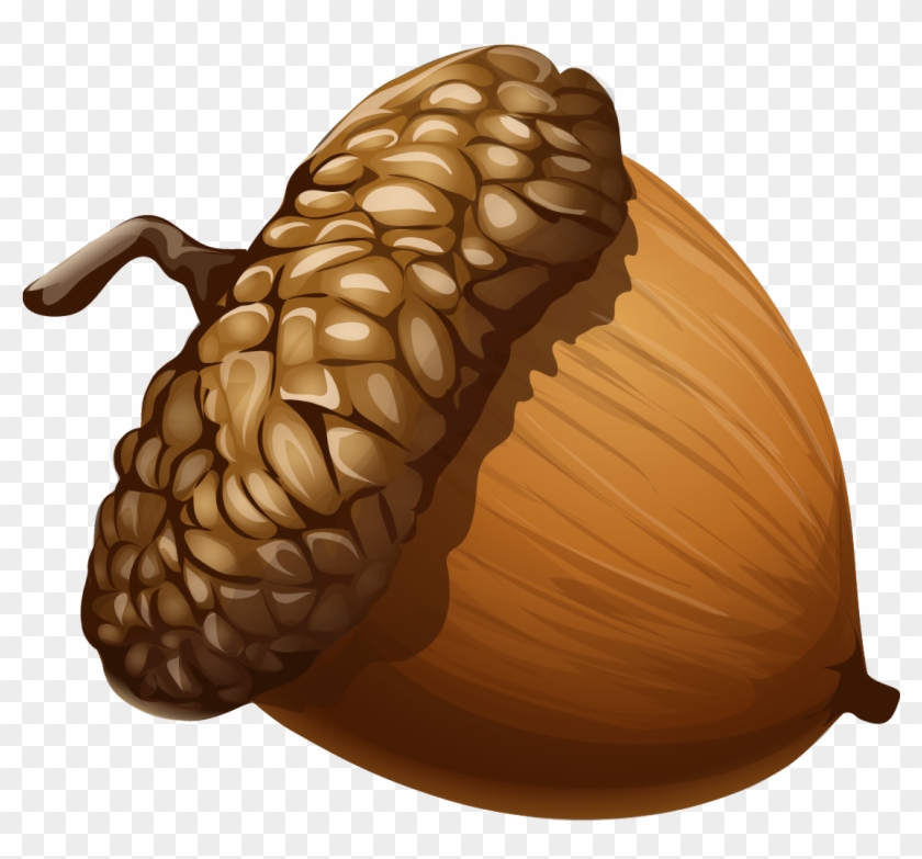 Fall Acorn Clip Art