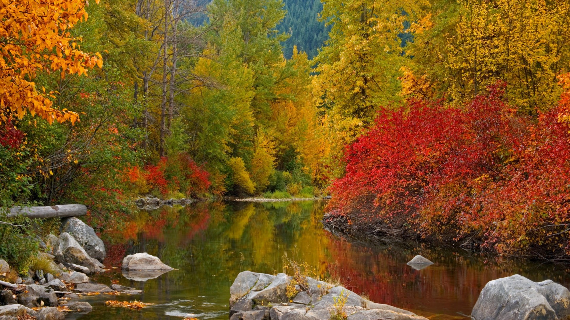 Autumn Wallpaper Widescreen