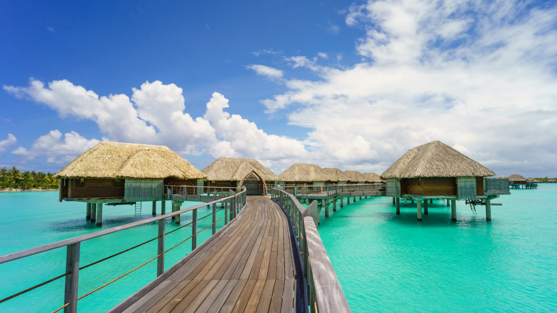 Tropical Paradise Resort