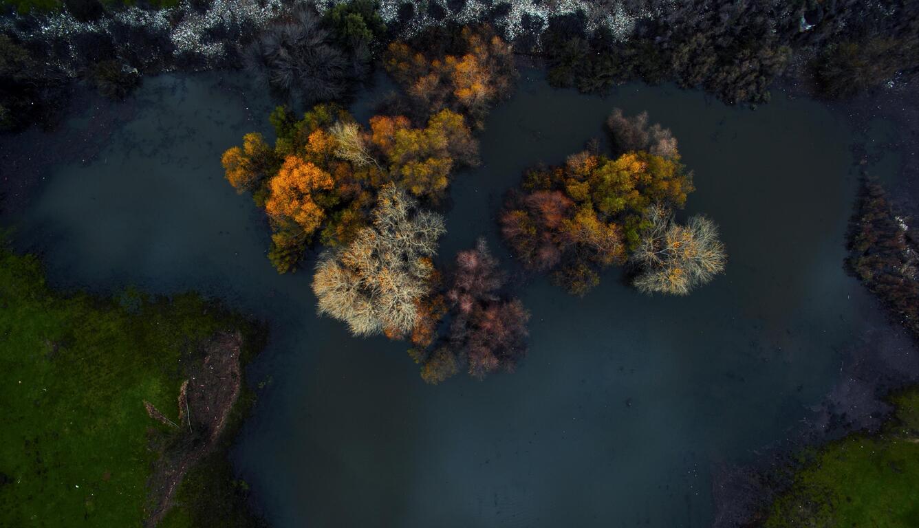 Top view of Trees at winter morning - KDE Store