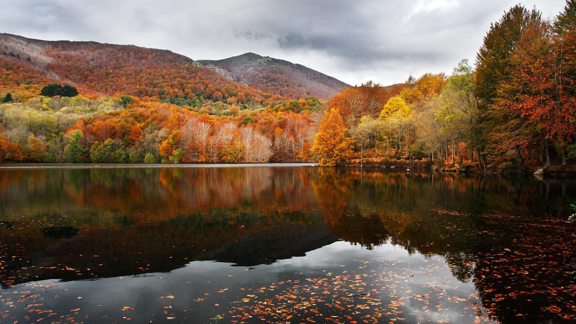 Autumn Santa Fe Lake Natural Park - KDE Store