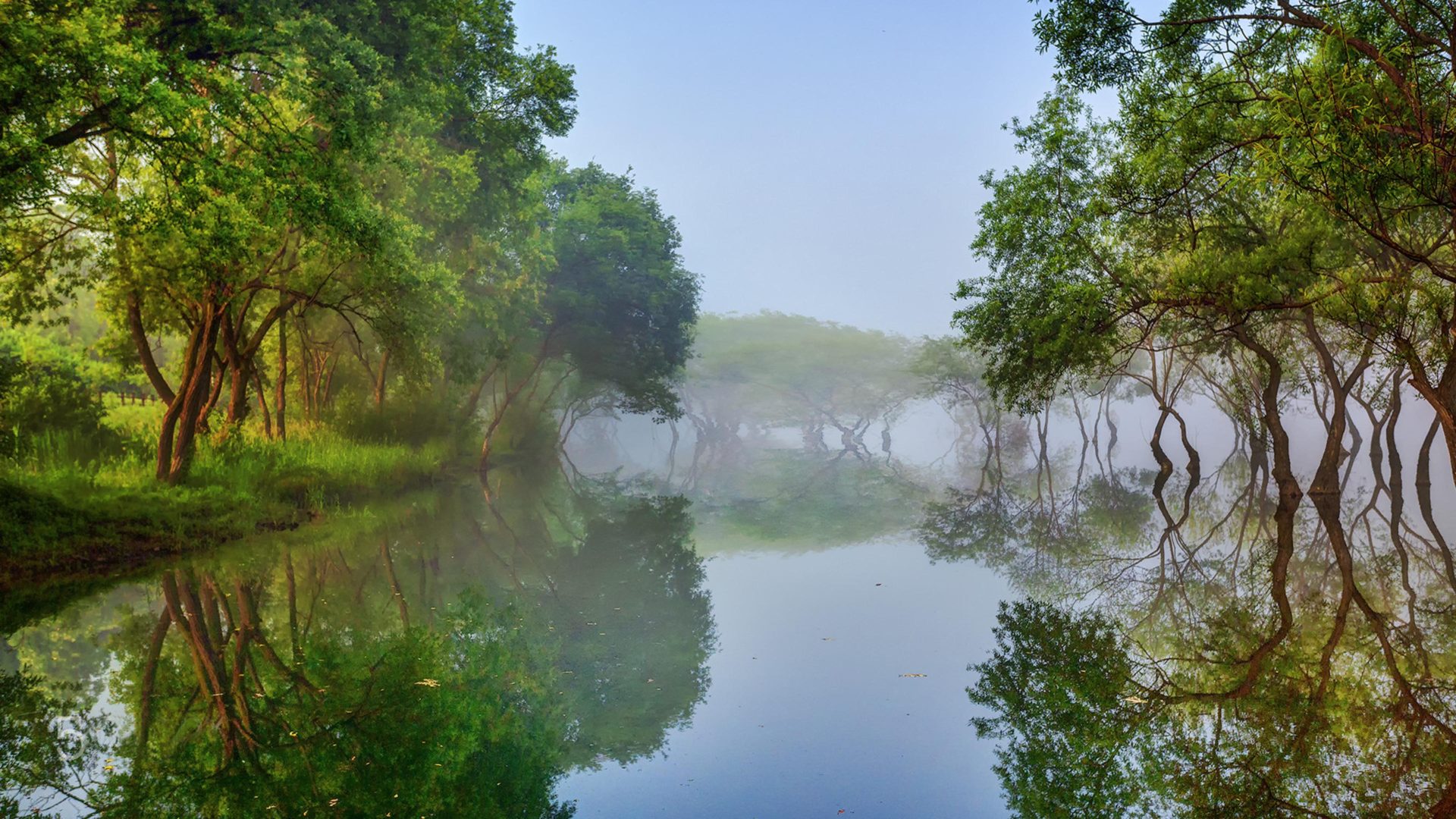 Reflections Of Trees Lake - KDE Store