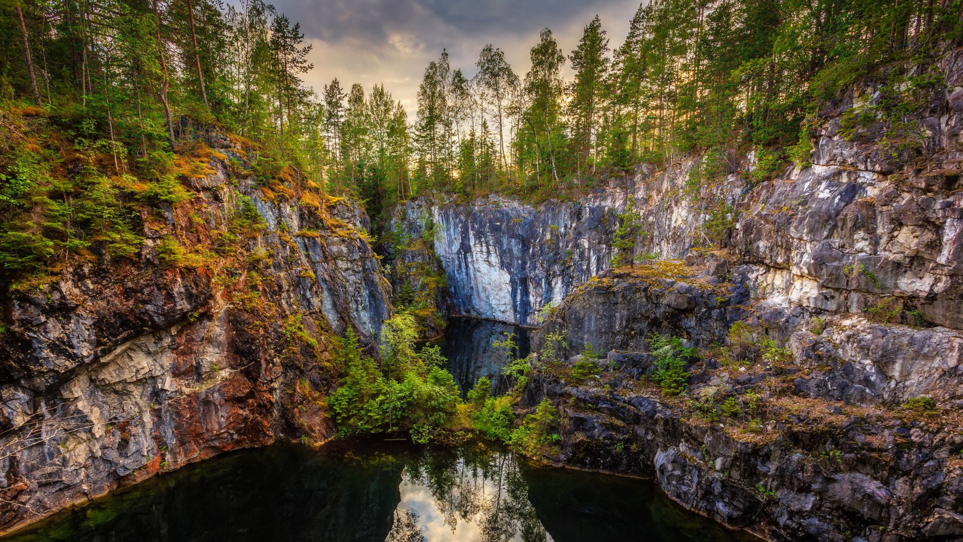 Green Trees on Rocky Mountain - KDE Store