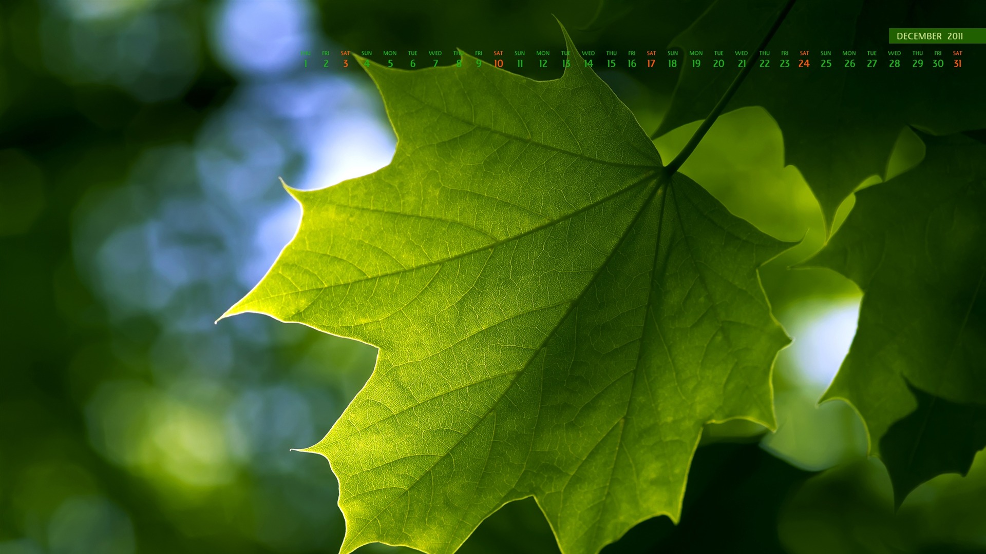 Maple Leaf - KDE Store