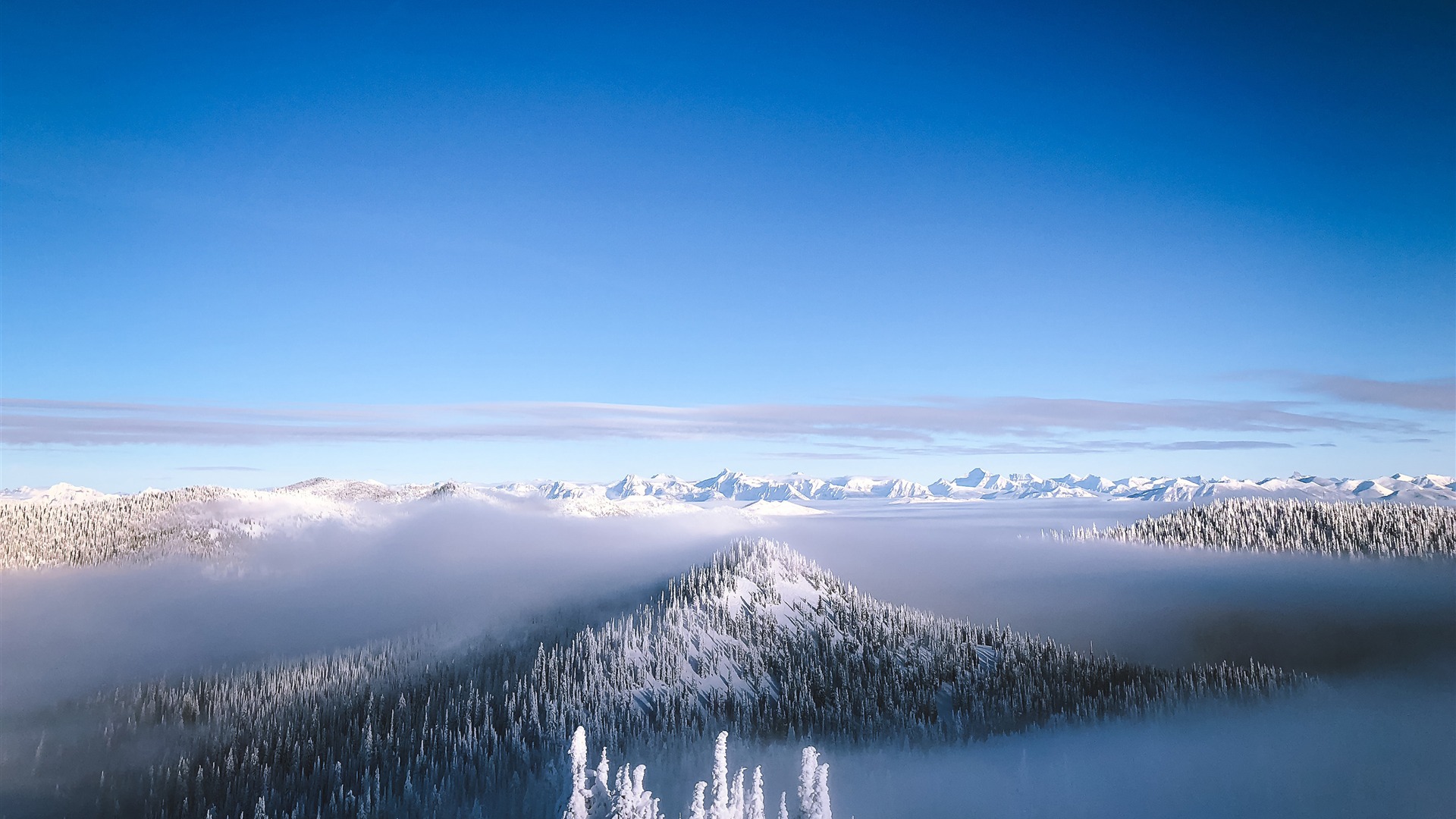 Winter snow mountain forest blue sky - KDE Store