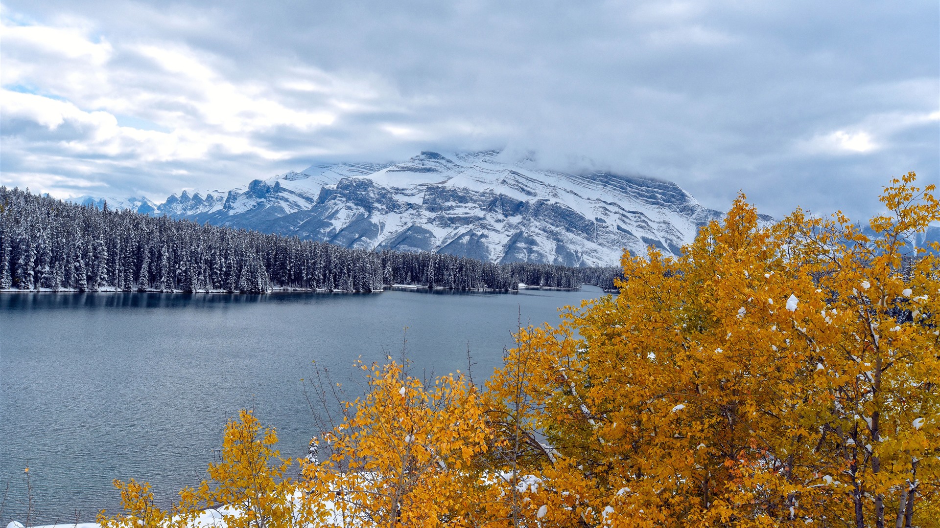 winter forest river - KDE Store