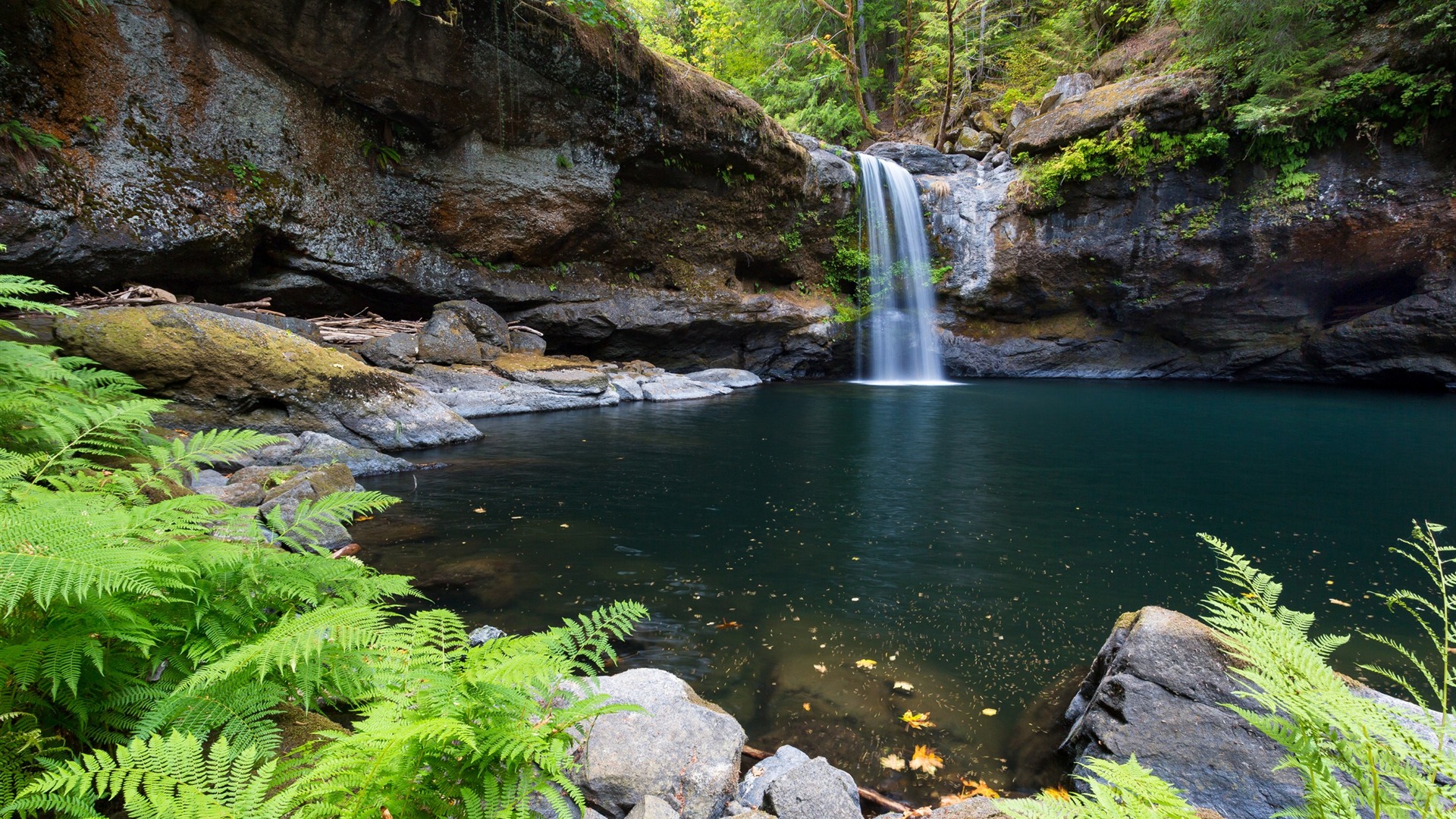 Coquille river waterfall forest - KDE Store